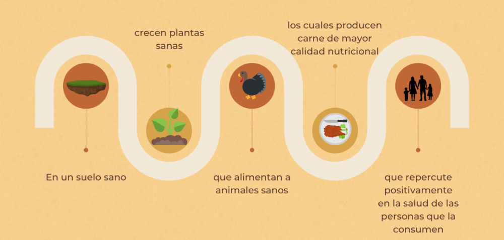 PASTOREO ROTACIONAL - Pavos Bio ecológicos y a Pasto